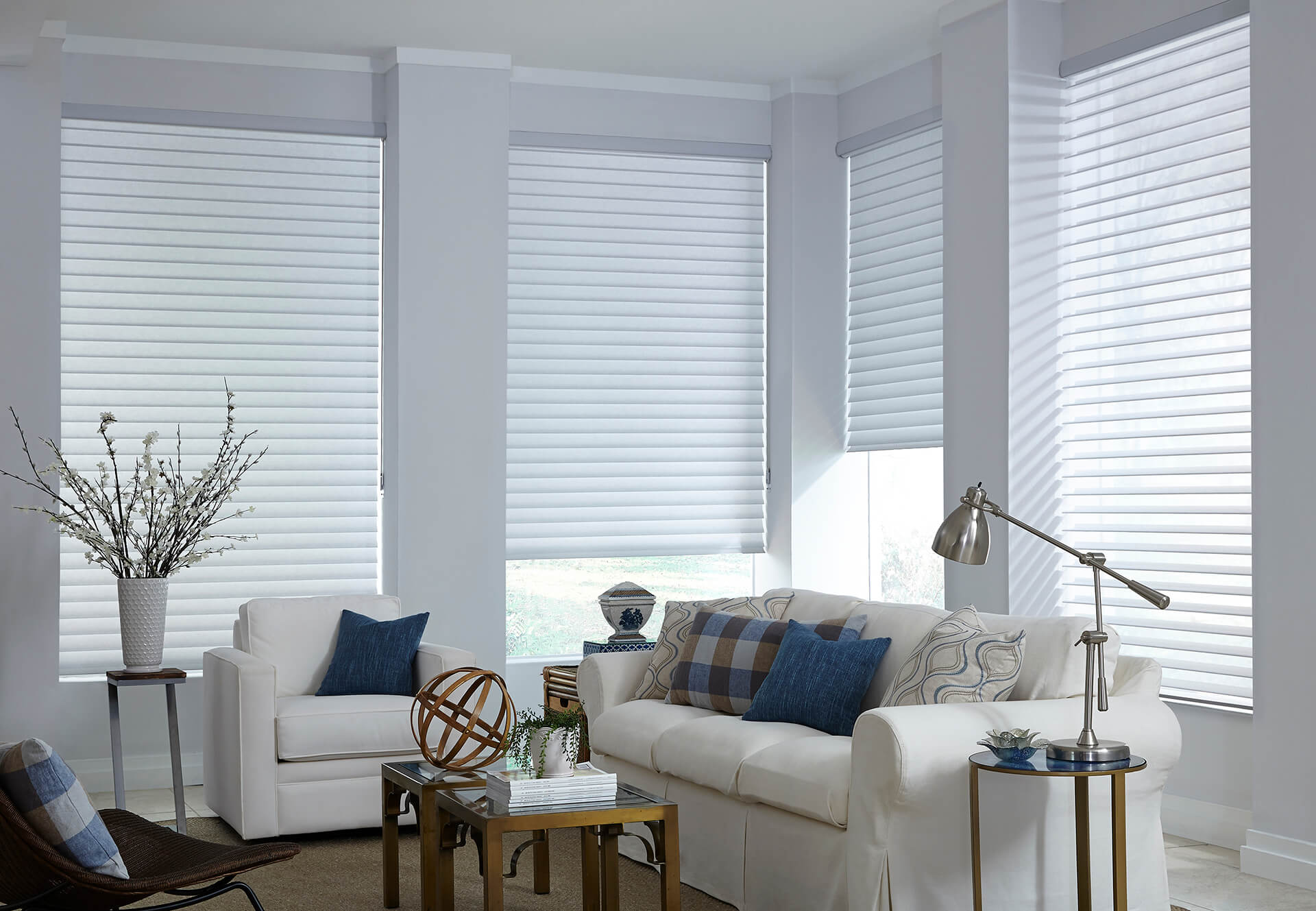 Best Shades for Living Room Windows | Exciting Windows!